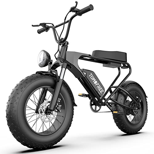 Best 2 Person Electric Bike (2025 Update) - Liquid Image