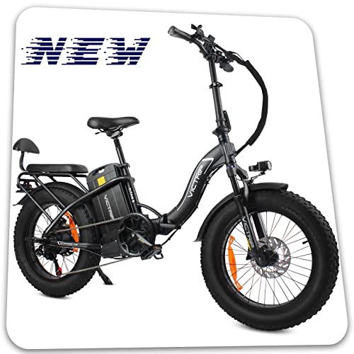 Best 2 Person Electric Bike (2025 Update) - Liquid Image