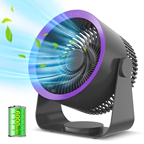 Best Air Circulator Fans (2024 Update) - Liquid Image